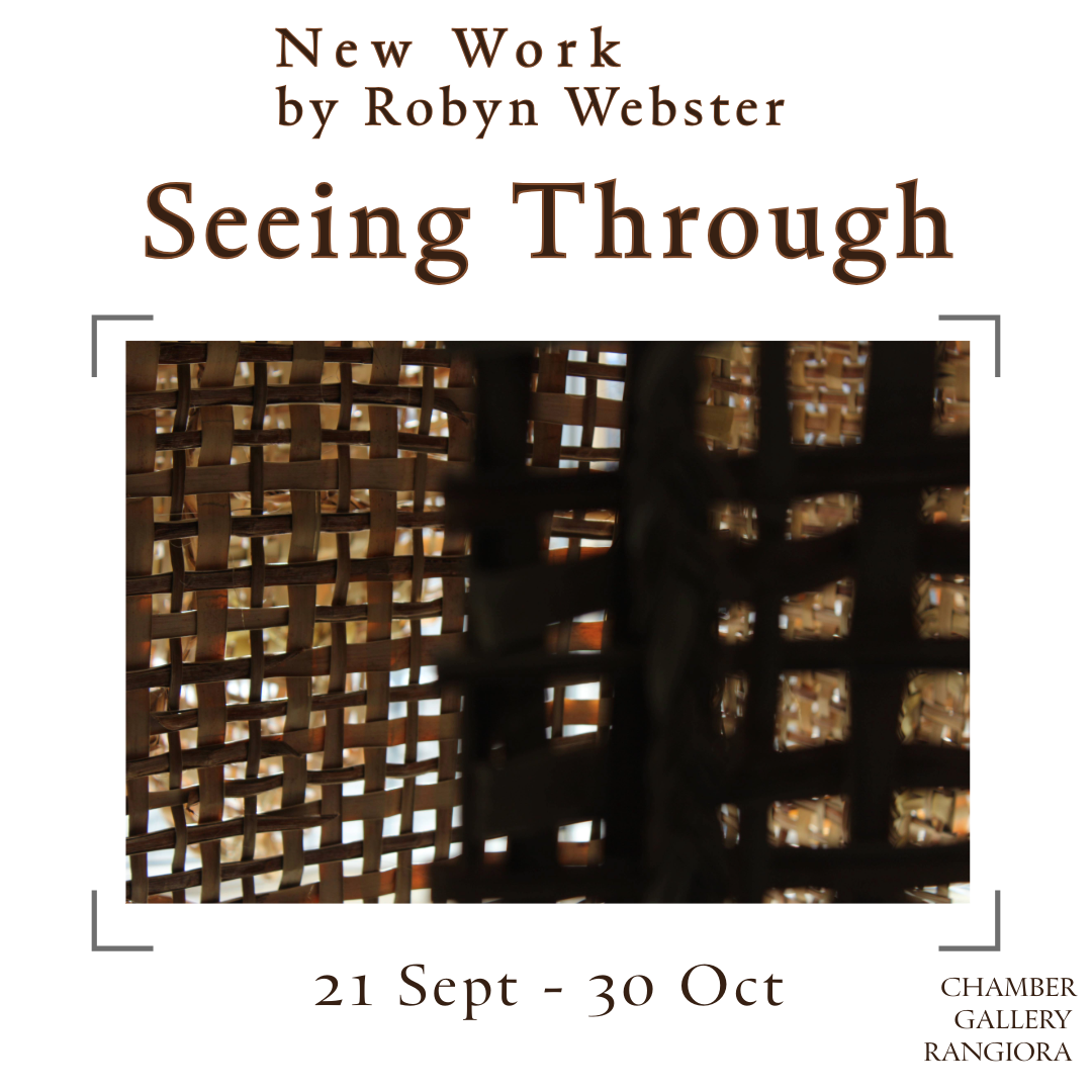 Seeing Through - New Work by Robyn Webster - Toi Ōtautahi - The Virtual ...